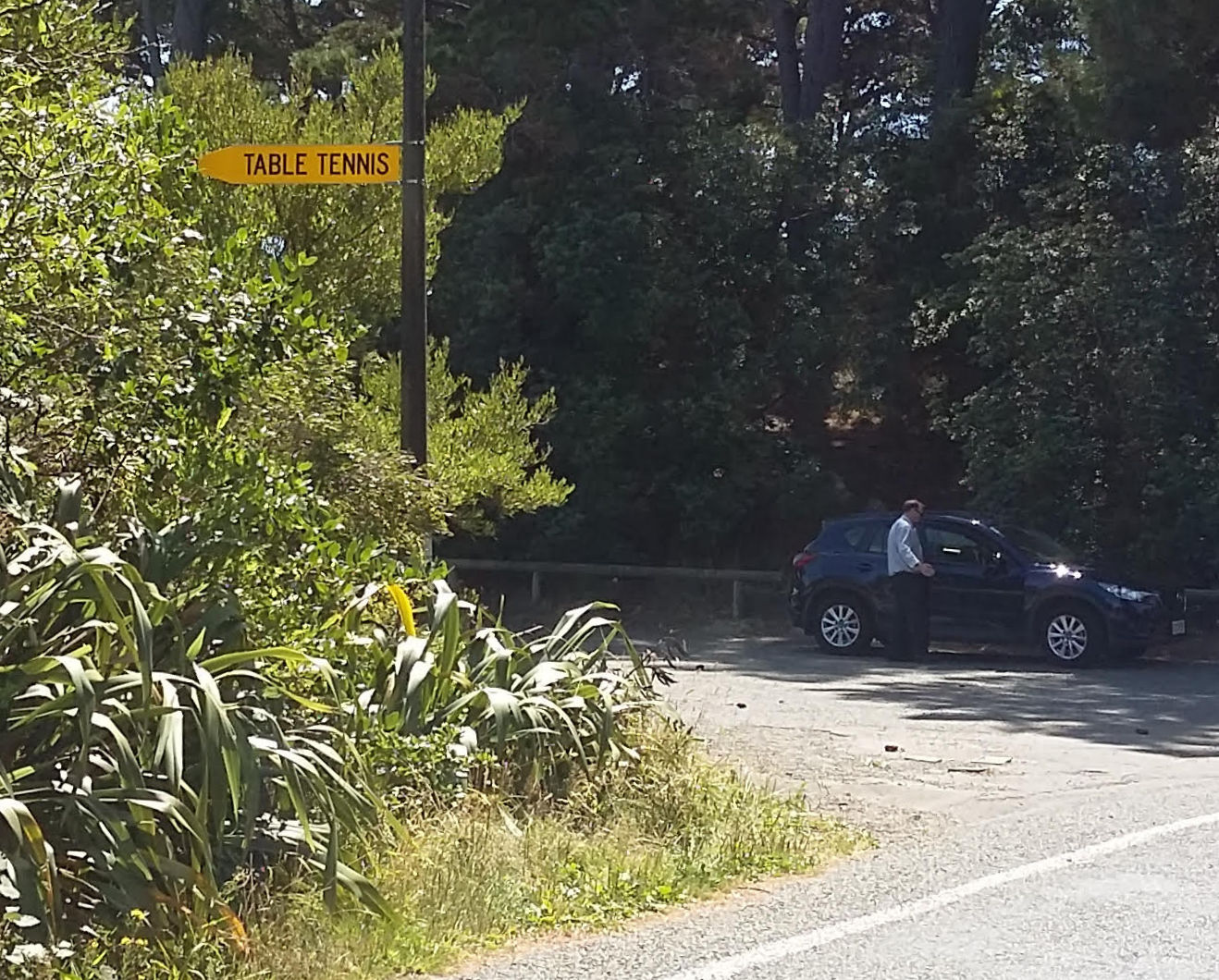 Where is the Newtown Wellington Table Tennis Stadium? – Table Tennis ...